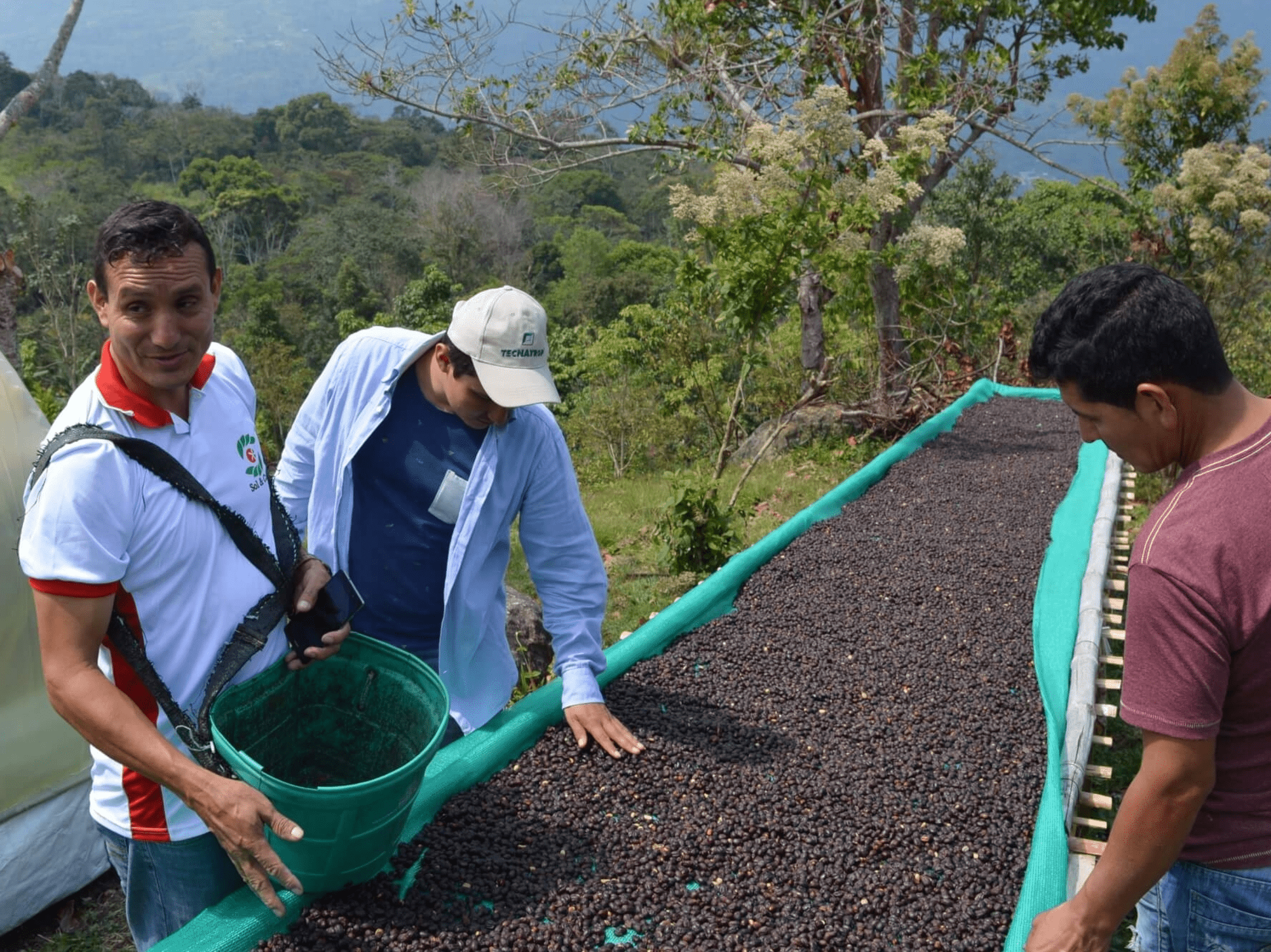 Sol Y Cafe - Cooperativa de Servicios Múltiples Sol y Café Ltda ...